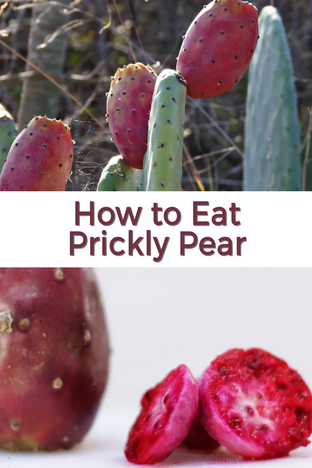 How to Eat Prickly Pear | Cactus Fruit Tuna Opuntia