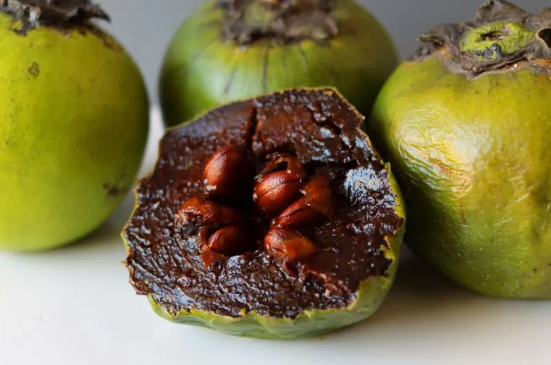 Black Sapote How to Eat It and What It Tastes Like
