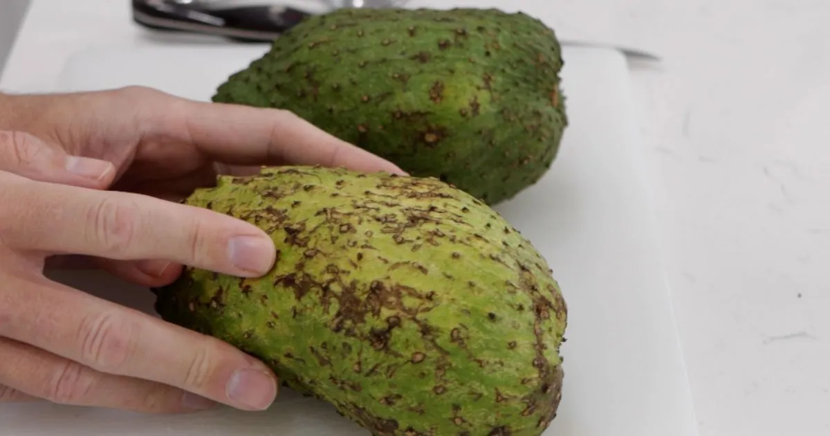 Soursop How to Eat it and What it Tastes Like