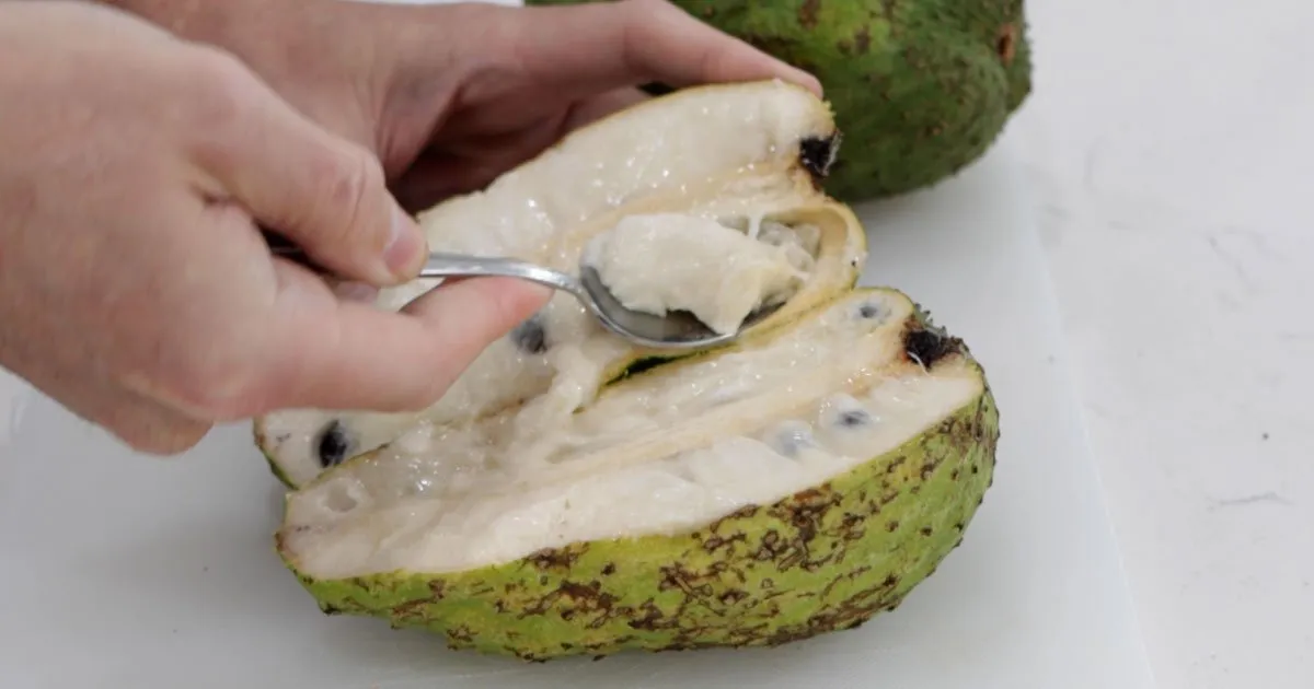 Soursop How to Eat it and What it Tastes Like