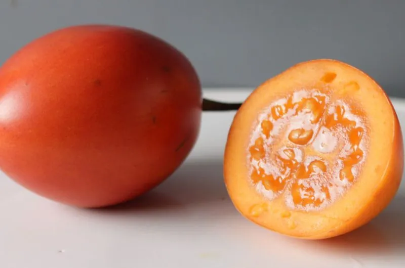 Tamarillo: How to Eat it and What it Tastes Like