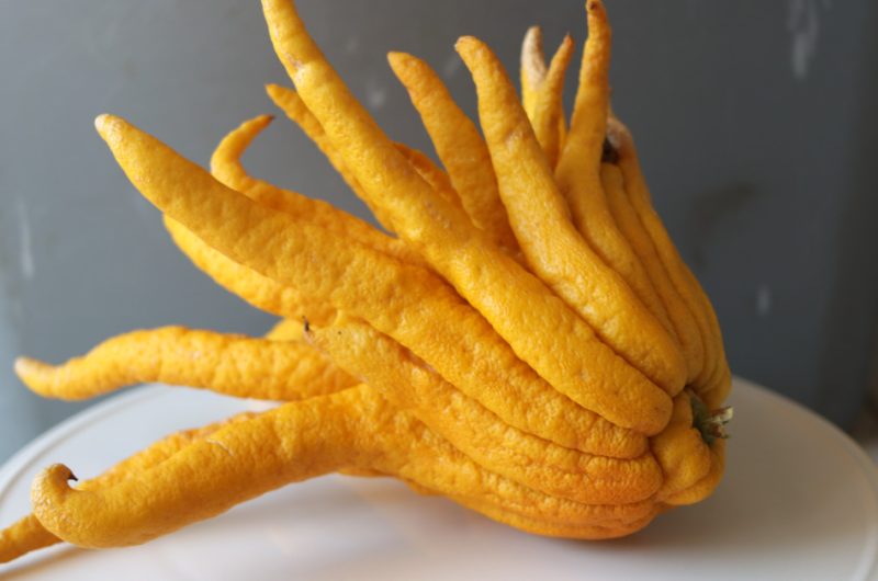 Buddha's Hand: How to Eat It And What It Tastes Like